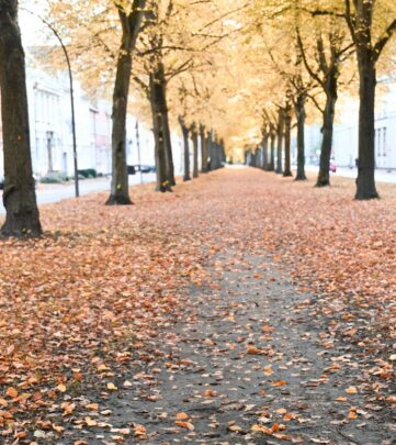 Ansprechpartner - Kontor 53